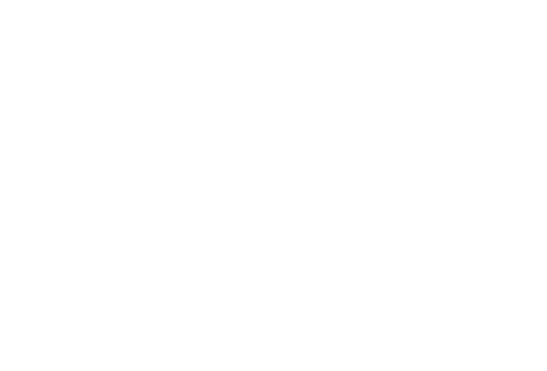 Sonata® Transcervical Fibroid Ablation - Hologic